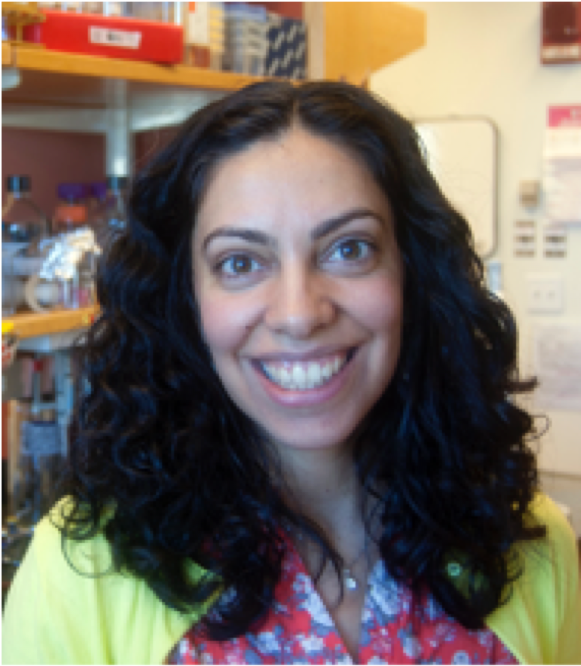 Faculty and Administration – CMCF